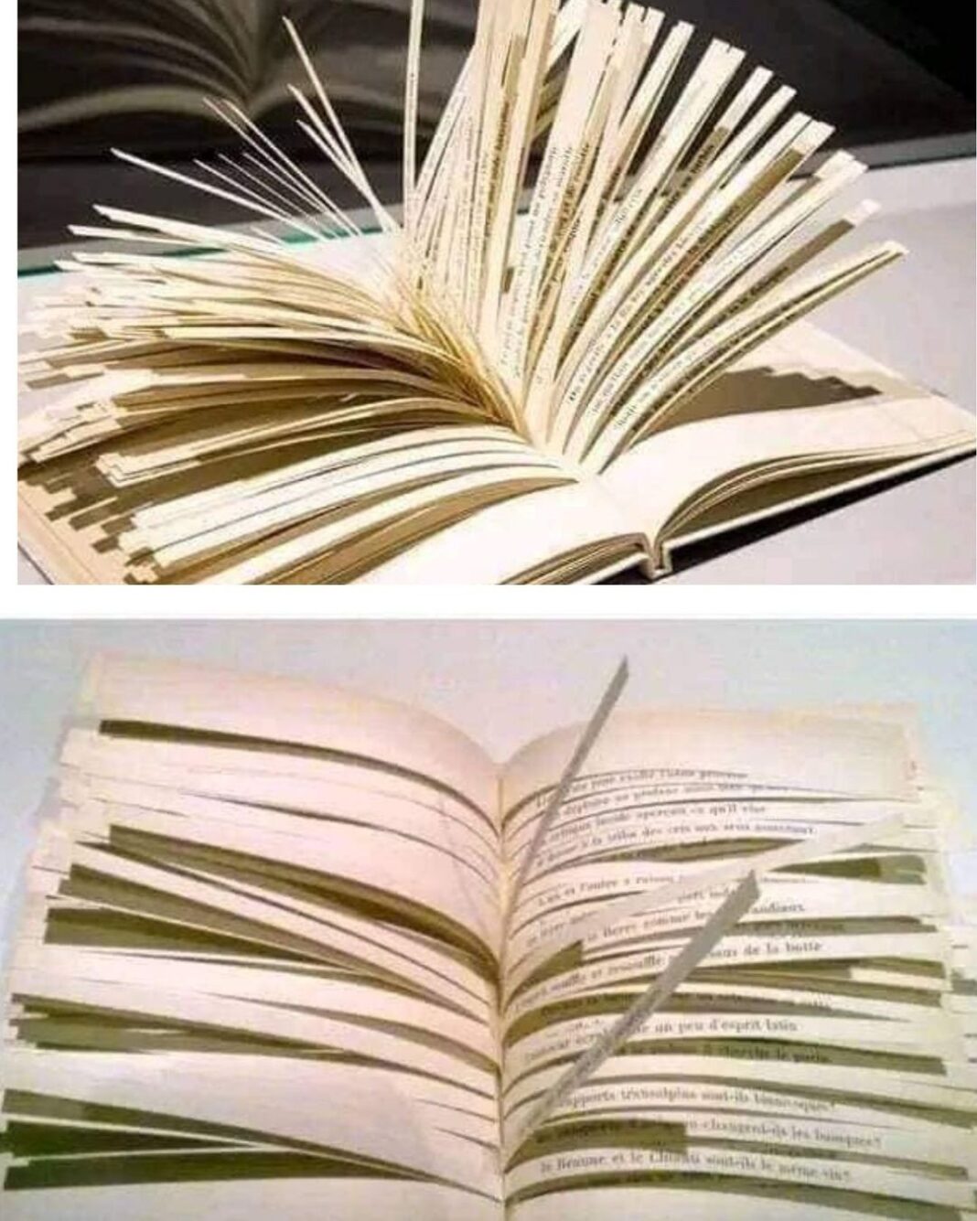 EL LIBRO INFINITO | El Vigía de Cuba